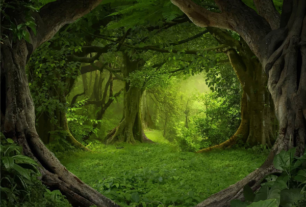 New Product Survey Results – BeeKeeper Parade