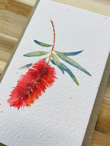 The Bottlebrush 🌺 Card (that grows) – BeeKeeper Parade